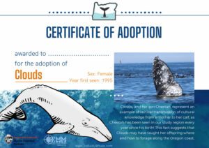 Adopt a Whale – IndividuWhale